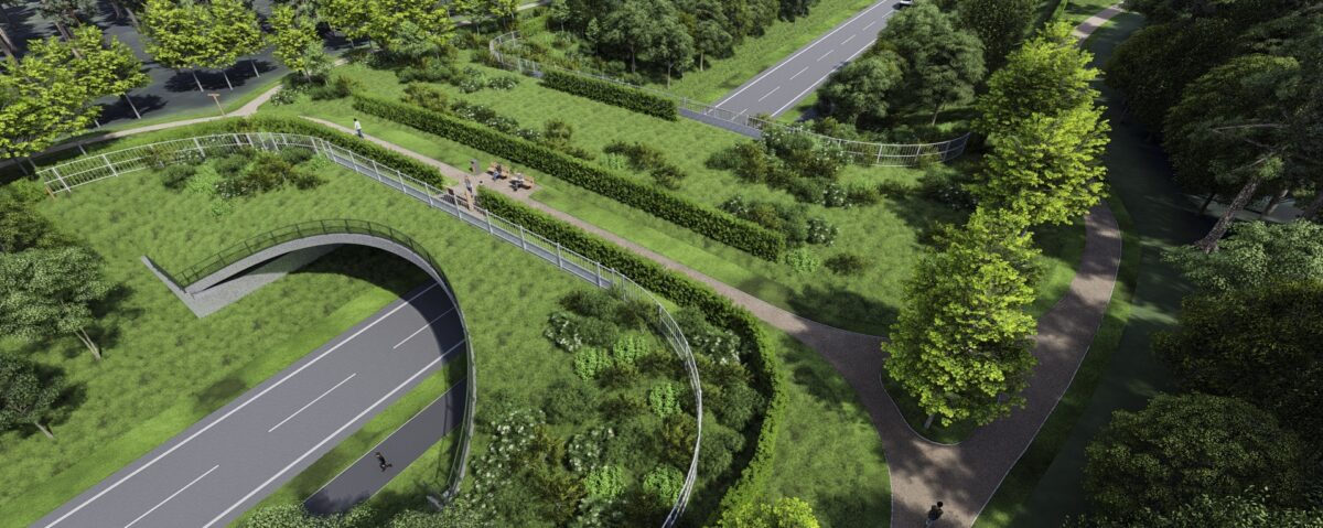 Perth Transport Futures | Major Infrastructure Upgrade Programme