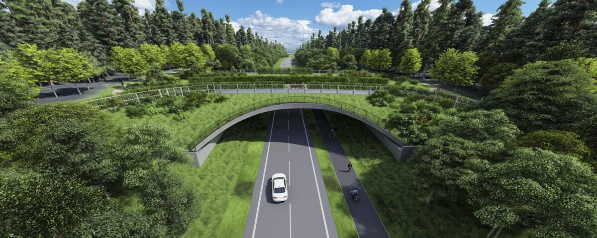 Perth Transport Futures | Major Infrastructure Upgrade Programme
